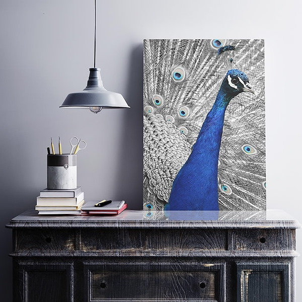 Professional Satin Canvas Prints | Add Your Own Photo | Don's Photo