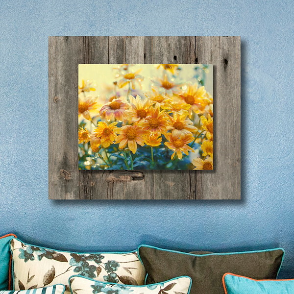 Mack Camera: quality photo prints, books