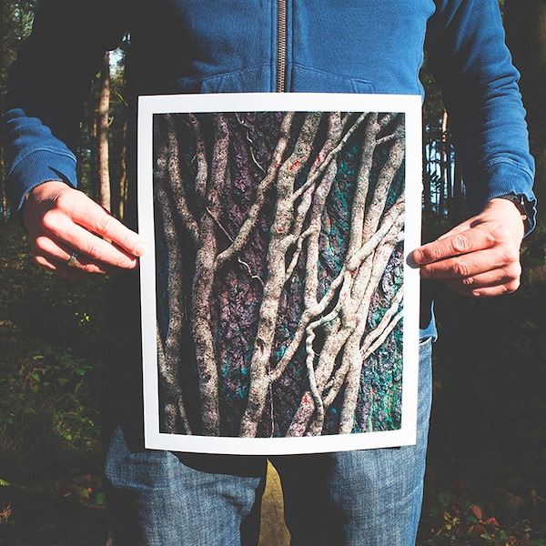 Photo Prints & Enlargements | Poster Size Photos