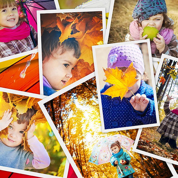 Photo Point: quality photo prints, books, and canvas.