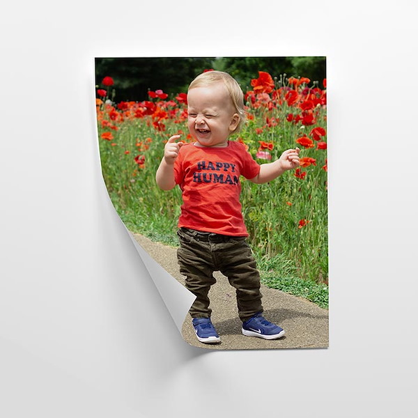 Removable Wall Clings