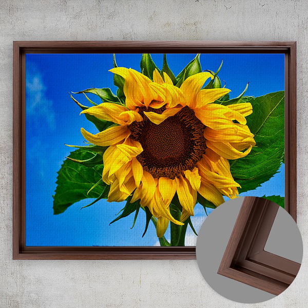 Canvas Prints | Meijer Photo