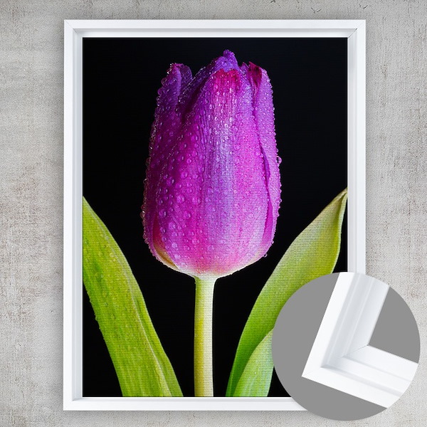 Canvas Prints | Meijer Photo