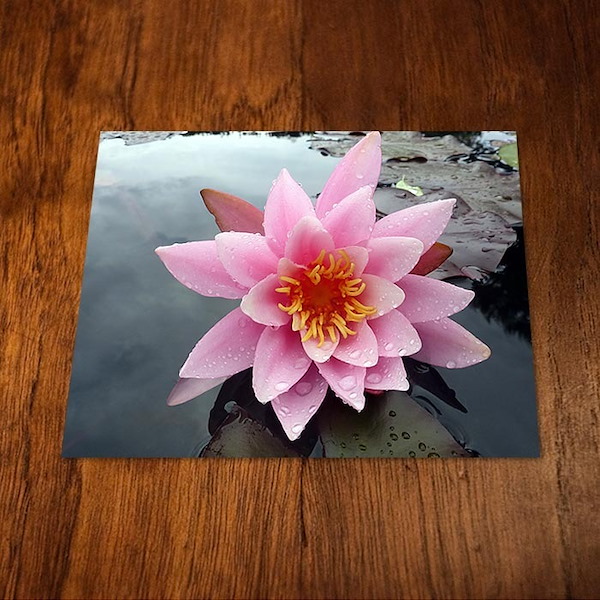 Prints and Enlargements | London Drugs Photolab