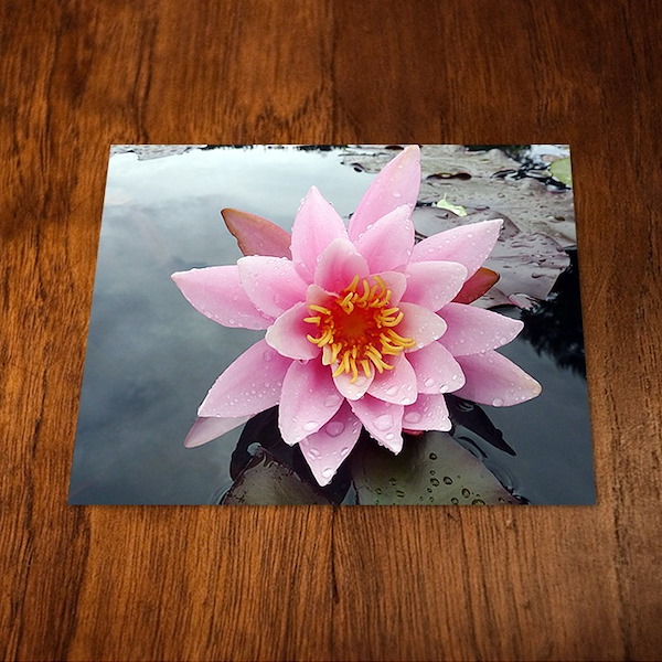 Prints and Enlargements | London Drugs Photolab