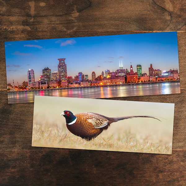 Photo Prints and Enlargements