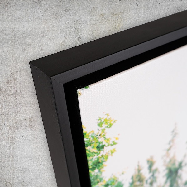 Gloss Canvas in Black Frame