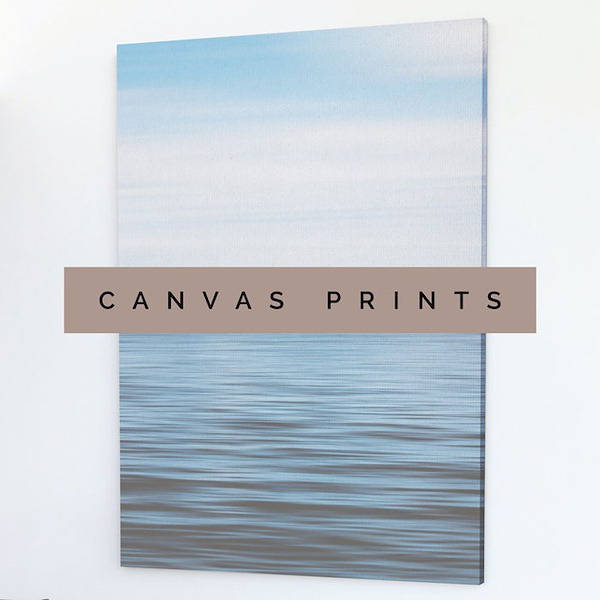 Premium Artist Series Canvas