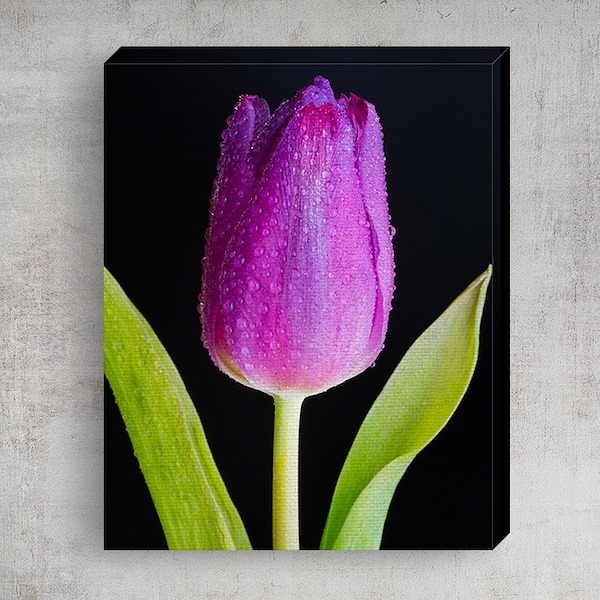 Canvas Prints | Meijer Photo