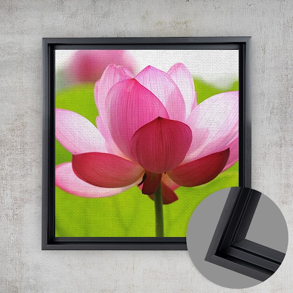 Canvas Prints | Meijer Photo