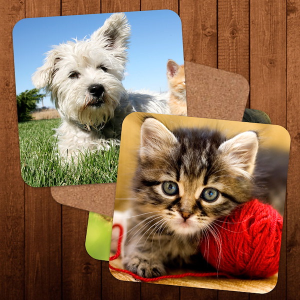 Personalized Photo Mugs | Custom Travel Mugs & Tumblers | Meijer Photo