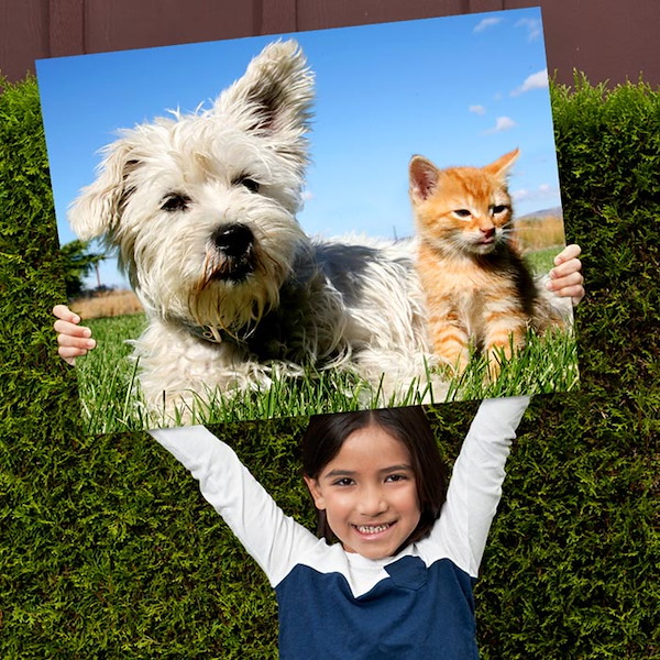 Mounted and Laminated Prints