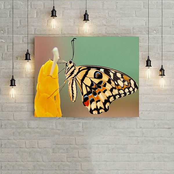 Browse All Products | MotoPhoto (Reading, PA): Create & order photo ...